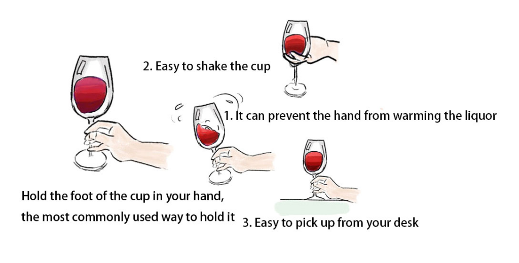 An introduction to wine glasses